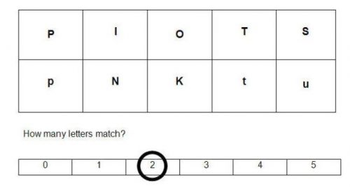 Parachute Regiment Tests 2025 | Get 100s of Questions
