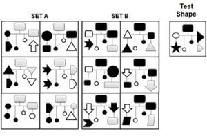 Kent Test Practice Papers & Answers | 11+ Free Download