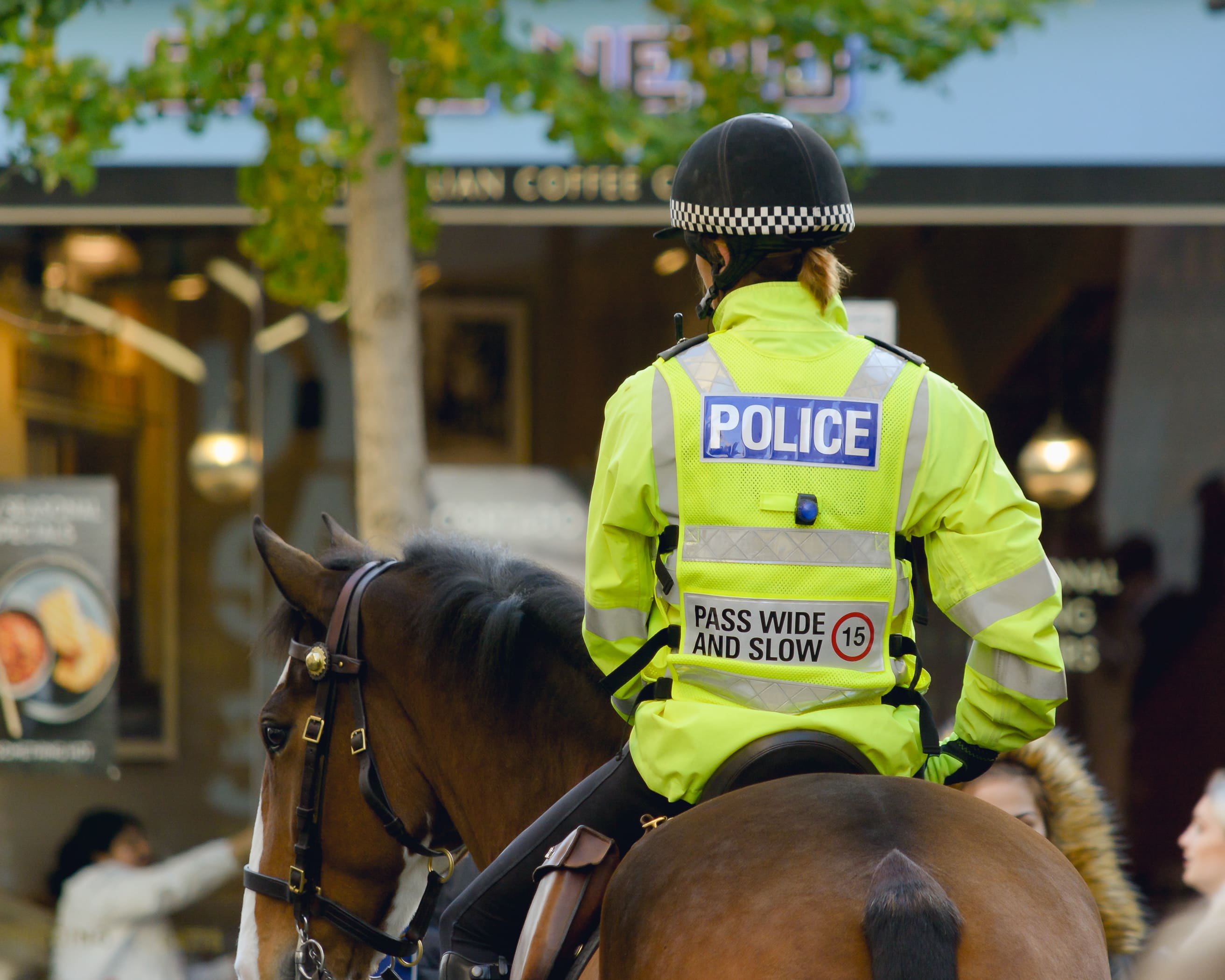 Police Situational Judgement Test: How To Ace Your Police Exam