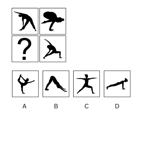 Raven's Progressive Matrices Sample 1 - How 2 Become