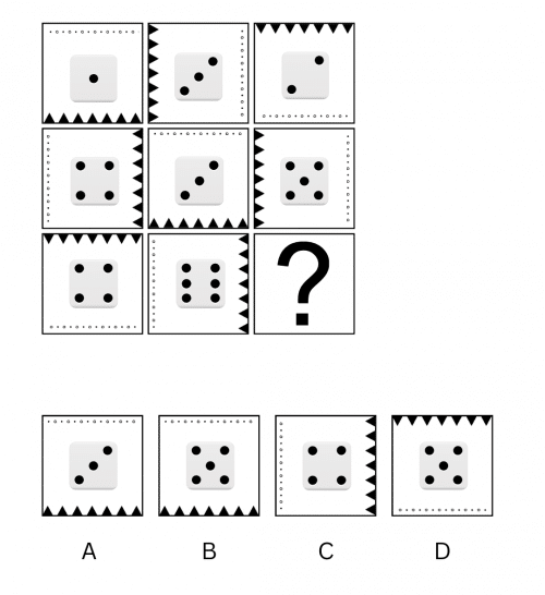Raven's Progressive Matrices Assessment Questions and Answers
