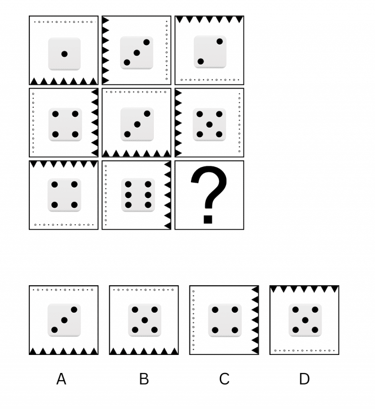 Raven's Progressive Matrices Assessment Questions and Answers